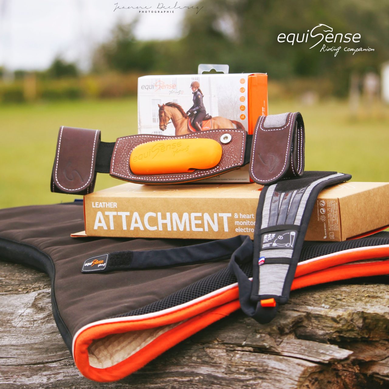 Le motion d'Equisense - J'ai testé pour vous le motion d'Equisense