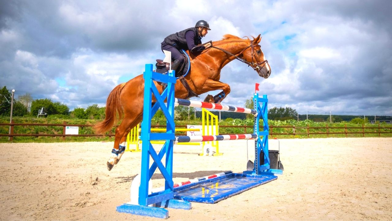 Formations saut d'obstacles - Terre de Sport Equestre