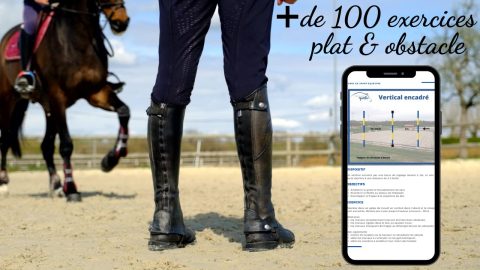 Engagement cheval en 6 étapes + 1 exercice spécifique