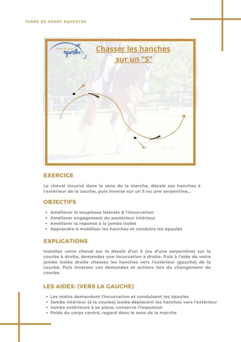 101 Exercices d'équitation - Terre de Sport Equestre