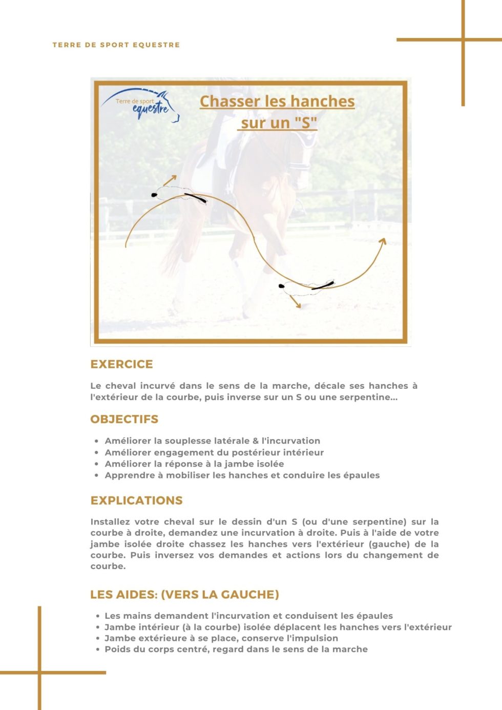 101 Exercices d'équitation - Terre de Sport Equestre