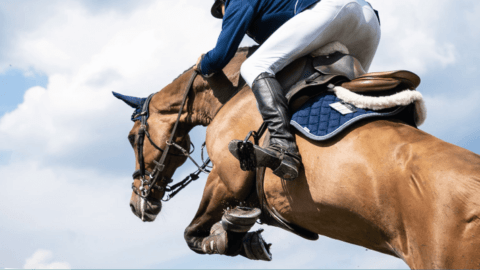 Position cavalier obstacle : le guide complet TDSE en 4 points