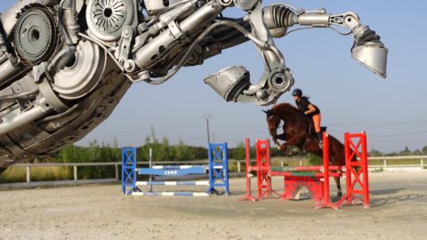 Position cavalier obstacle : le guide complet TDSE en 4 points