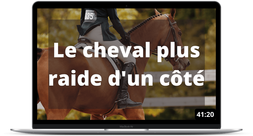 101 Exercices d'équitation - Terre de Sport Equestre