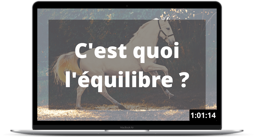 101 Exercices d'équitation - Terre de Sport Equestre