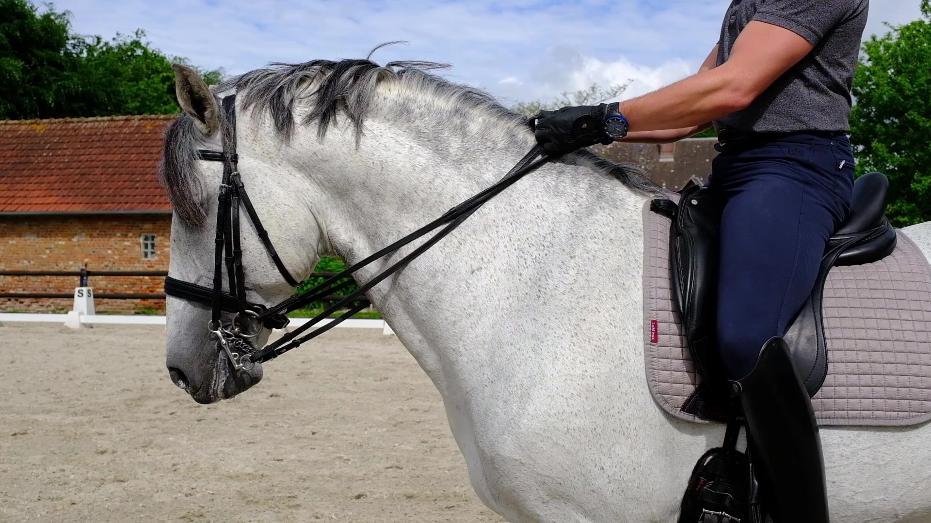 Comment avoir les mains fixes pour avoir un cheval stable - Terre de ...