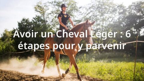 Comment rendre son cheval léger : 6 Techniques de décontraction