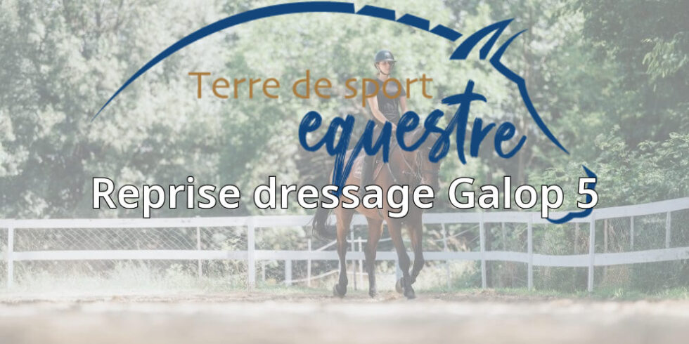 Reprise Dressage Galop 5 PDF + Décryptage complet - Terre de Sport Equestre